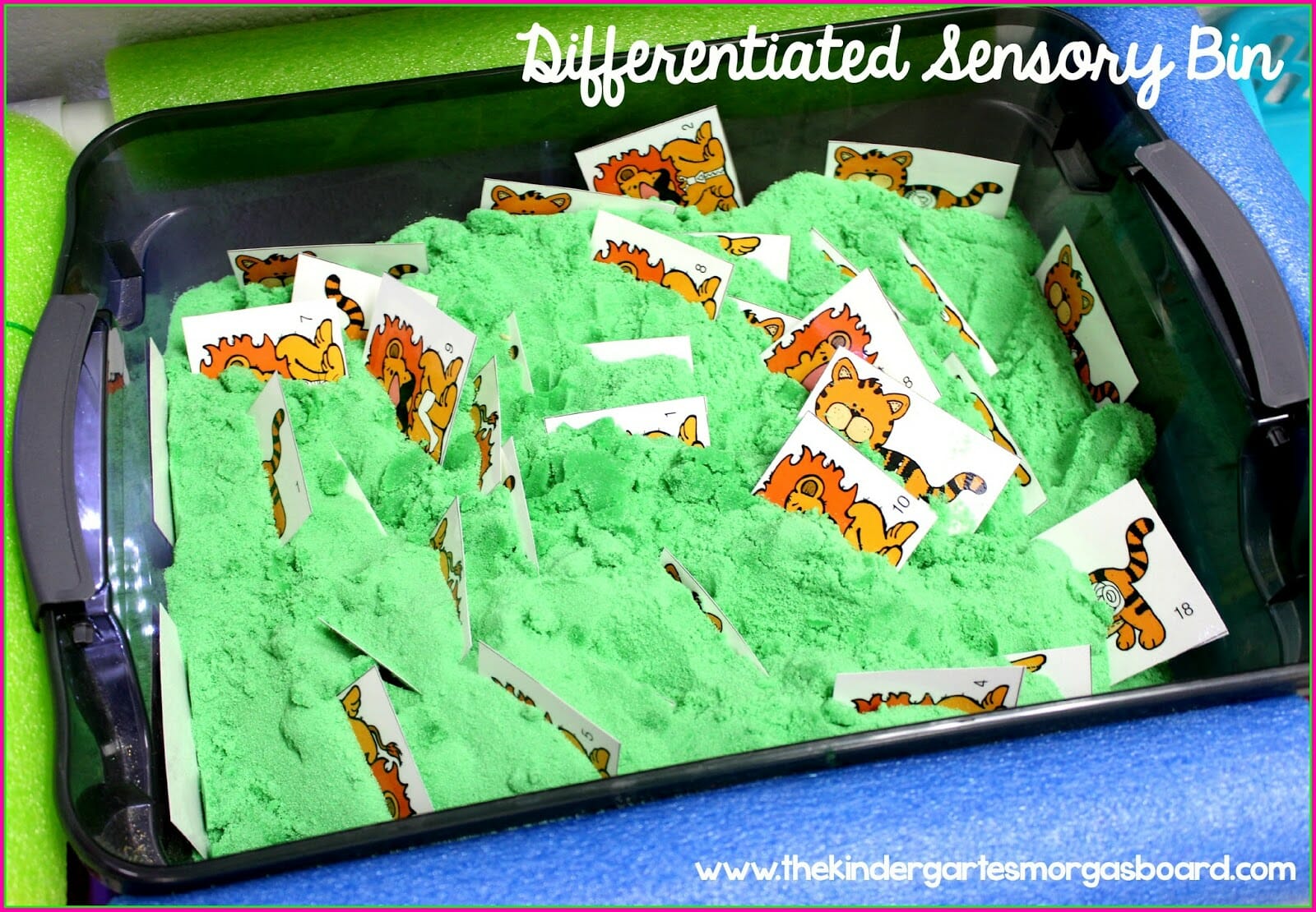 CVC/CVC-E Word Lions & Tigers FREEBIE – The Kindergarten Smorgasboard