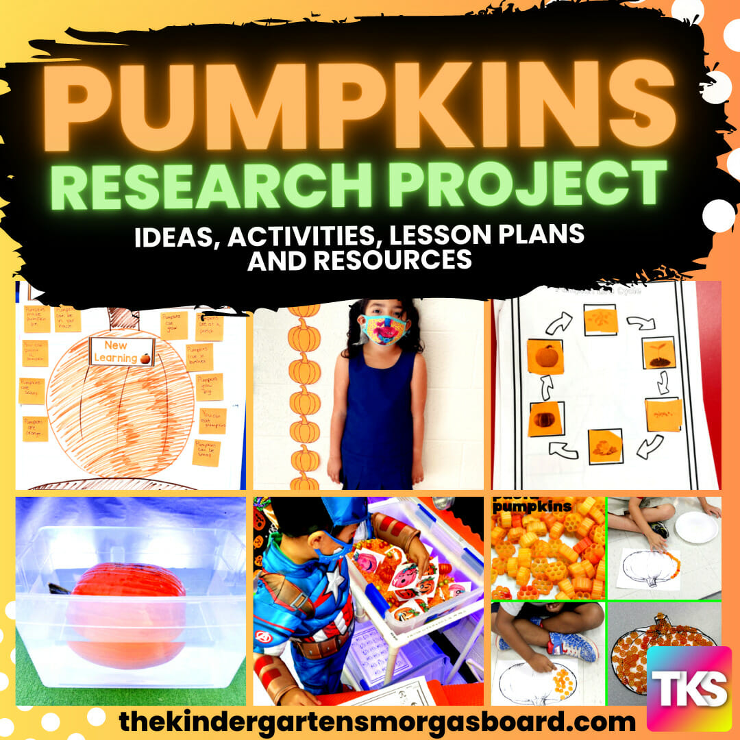 Kindergarten Pumpkin Activities: Pumpkins Research Project | The ...