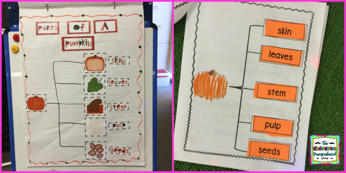 Pumpkin Research Project, Word Families, Addition: Schedulin’ Sunday ...