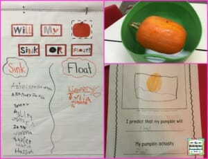 pumpkin sink or float – The Kindergarten Smorgasboard