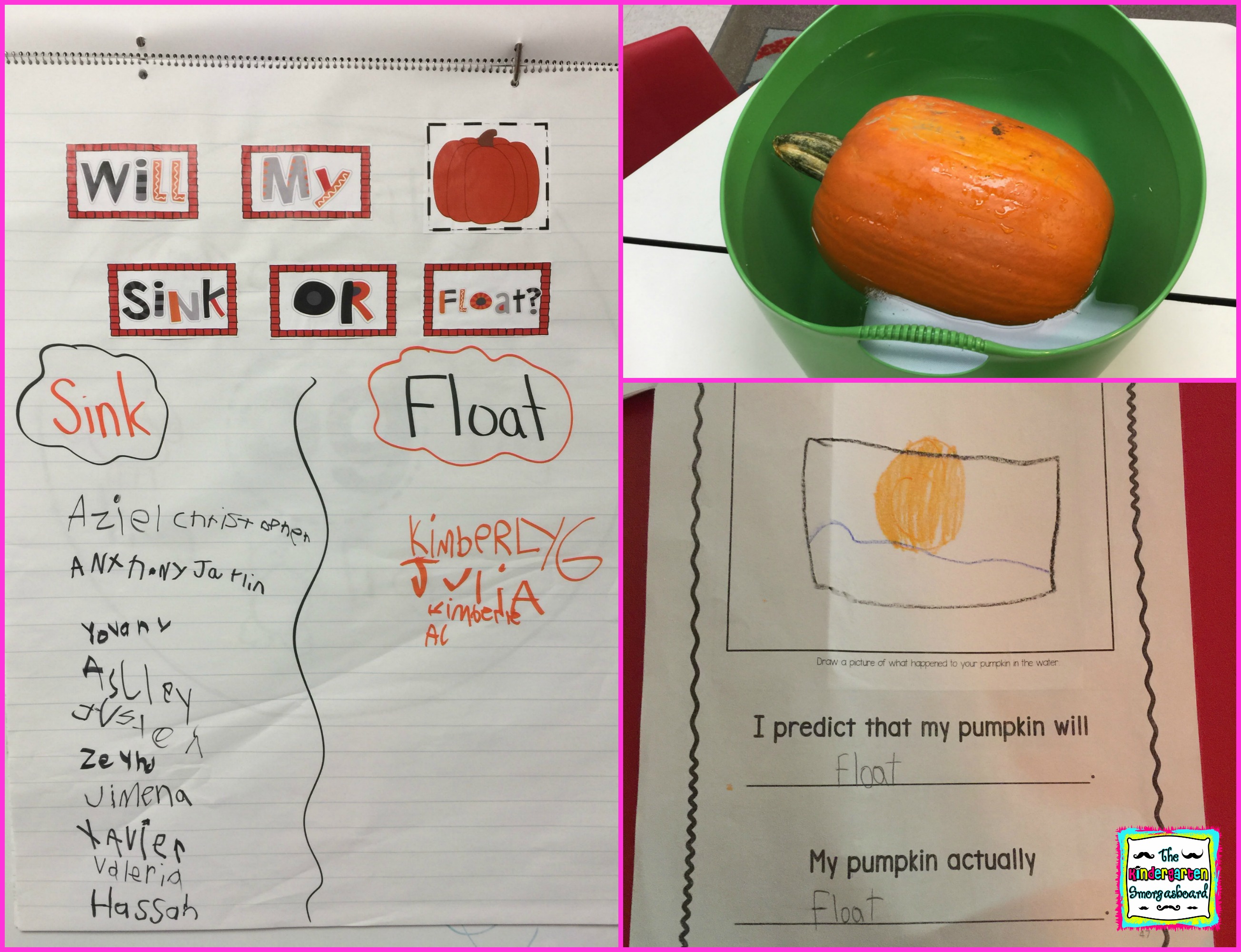 pumpkin sink or float – The Kindergarten Smorgasboard