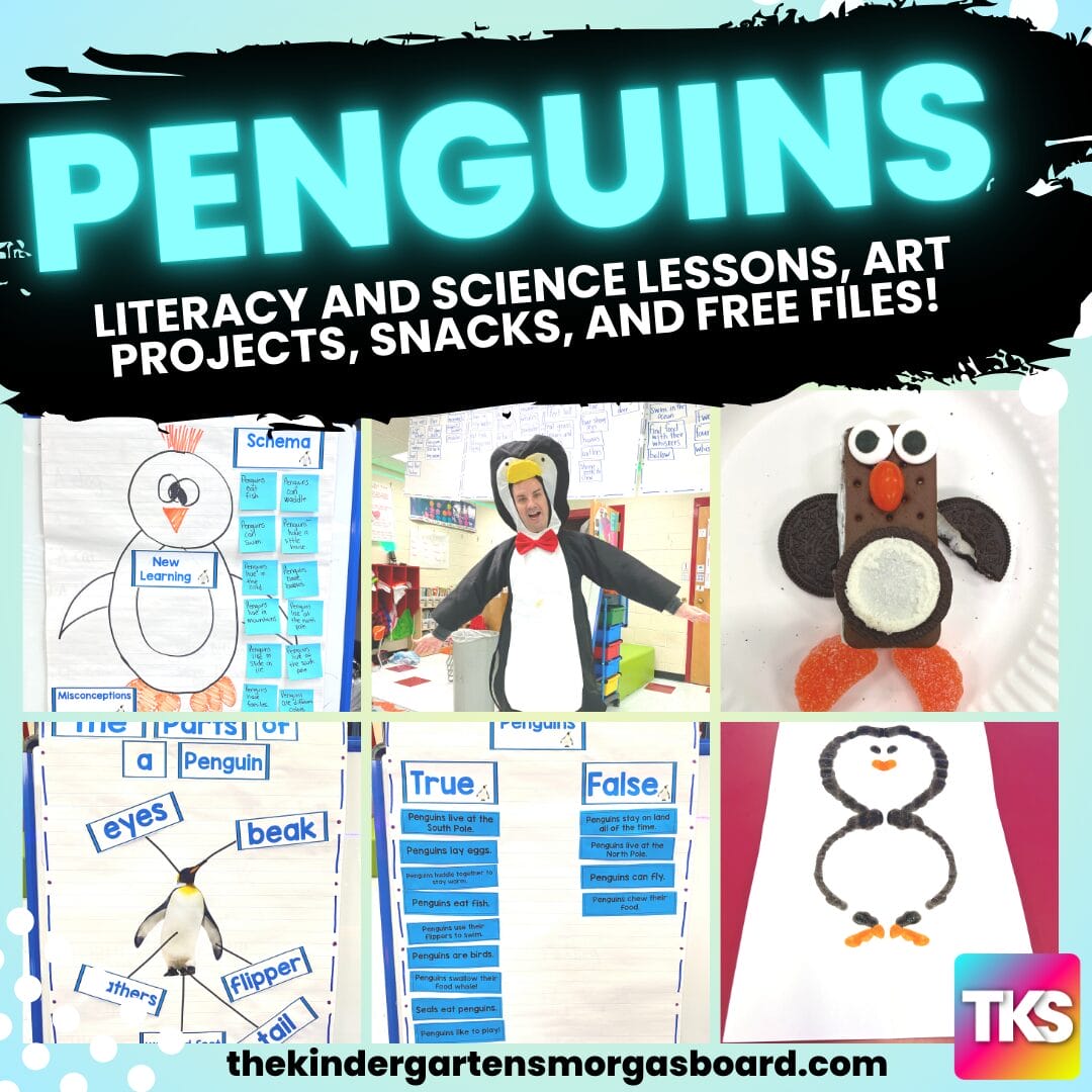 PENGUINS! Penguin Activities! | The Kindergarten Smorgasboard