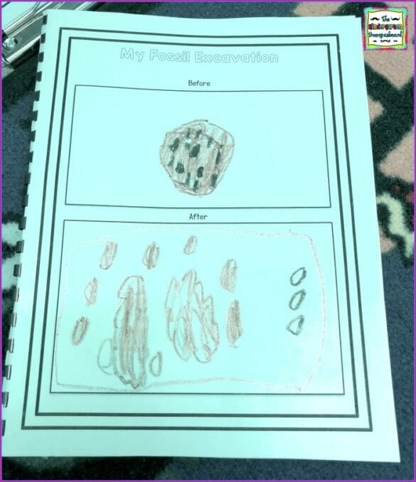 DINOSAURS! Dinosaur Research Project! – The Kindergarten Smorgasboard