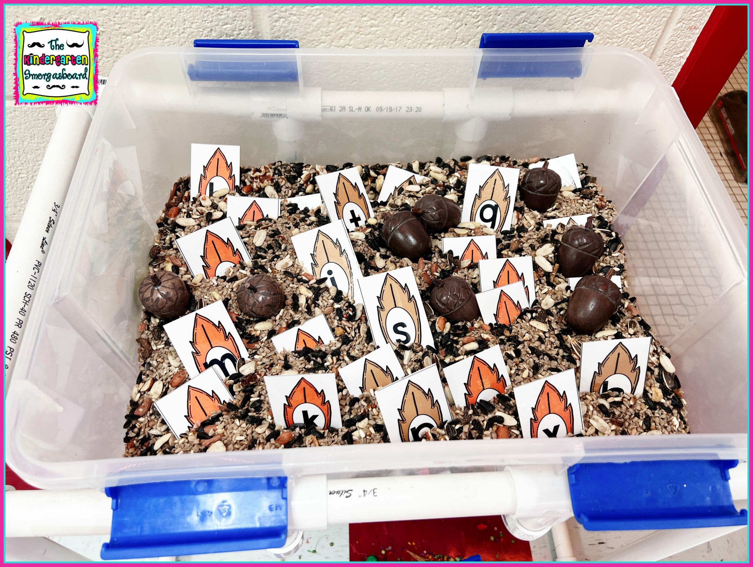 fall sensory bins – The Kindergarten Smorgasboard