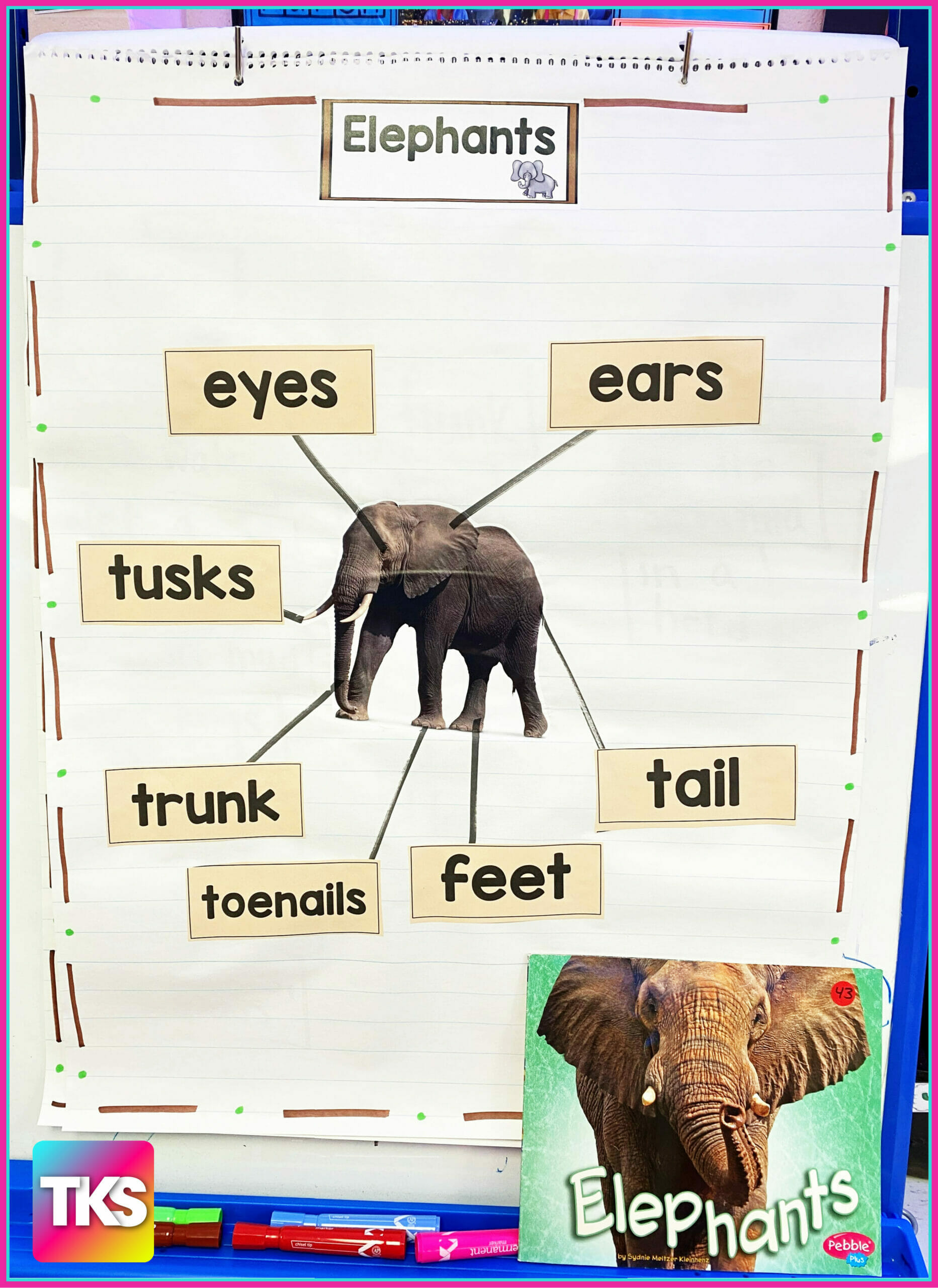zoo animals research project – The Kindergarten Smorgasboard