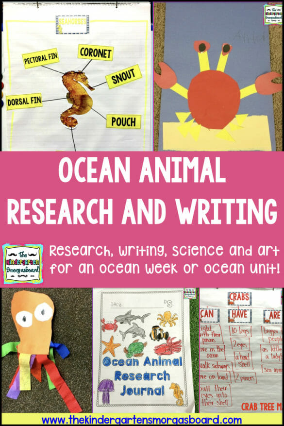 Ocean Transformation – The Kindergarten Smorgasboard