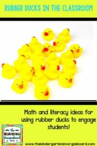Rubber Ducks Ideas: Using Rubber Ducks In The Classroom | The ...