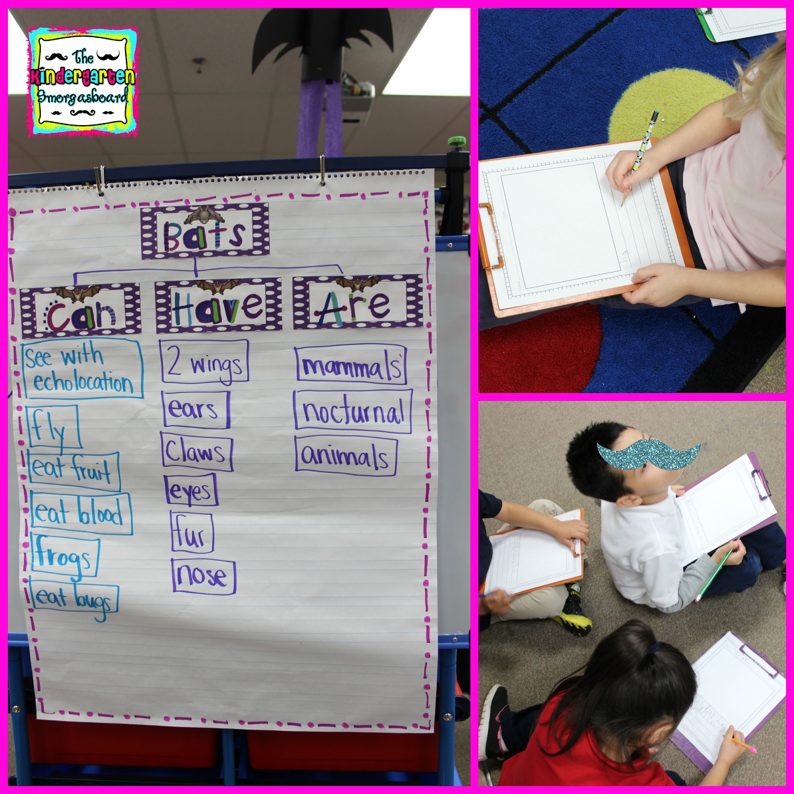 Studentreasures Book Publishing! | The Kindergarten Smorgasboard