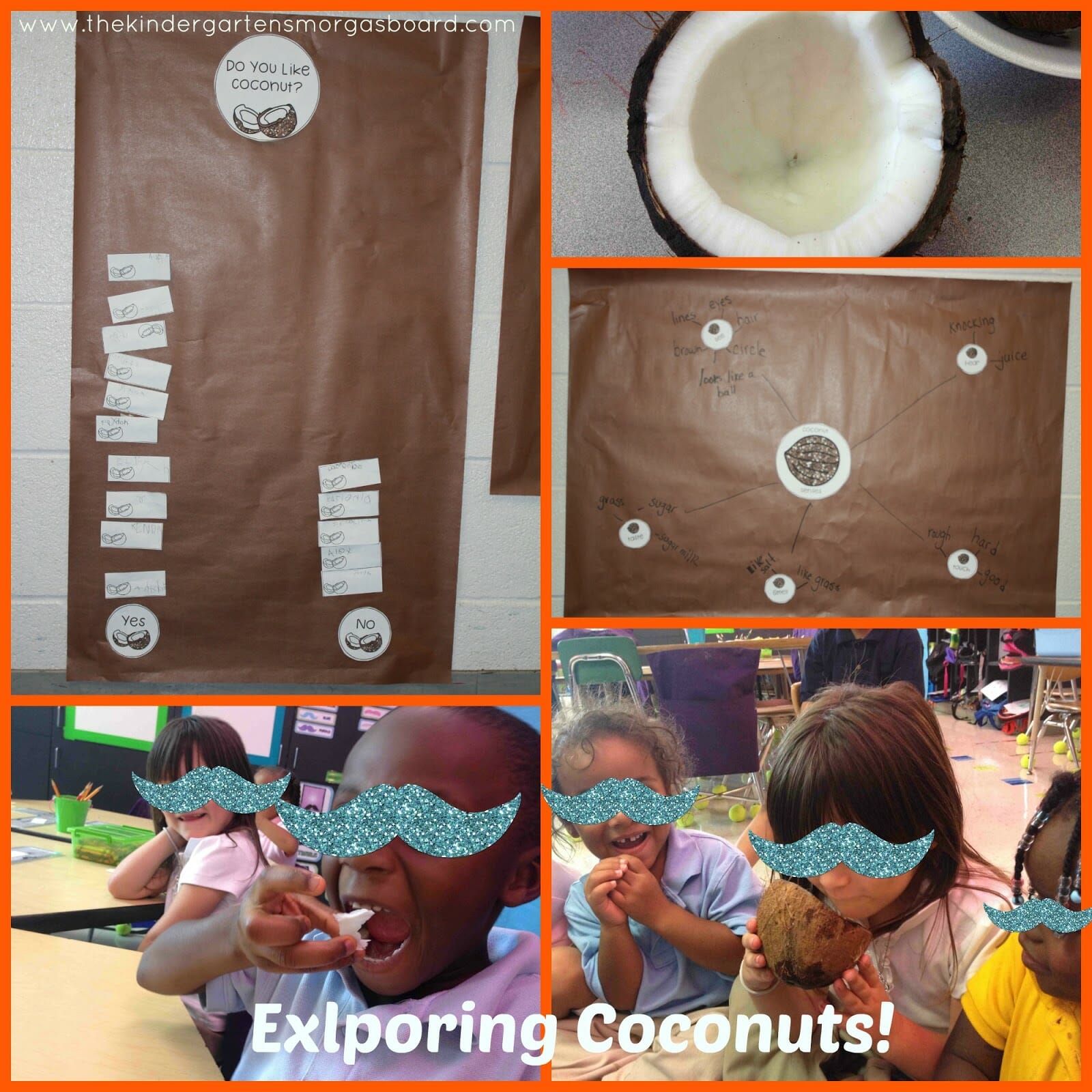 da2a5-coconutcollage – The Kindergarten Smorgasboard
