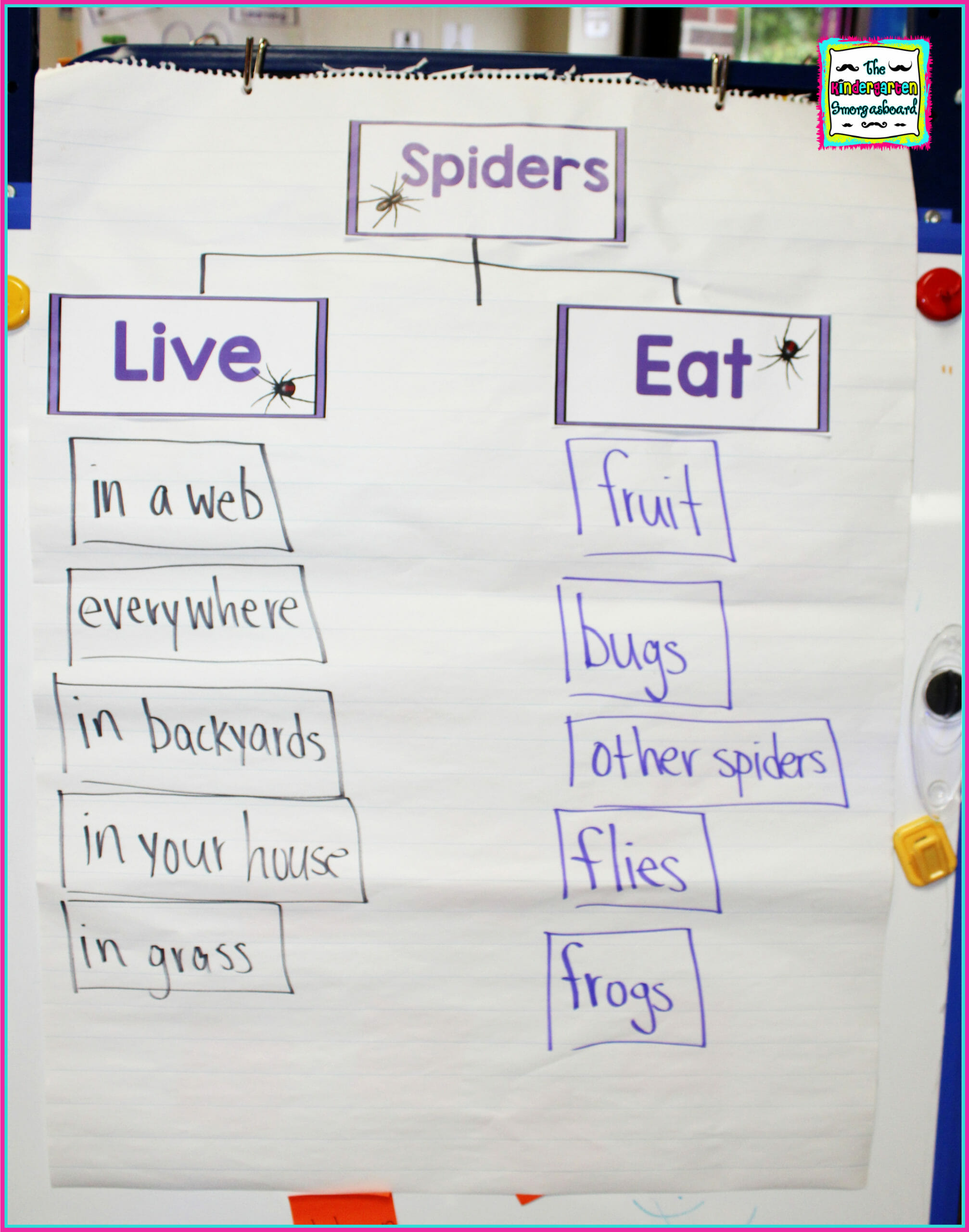 learning about spiders – The Kindergarten Smorgasboard