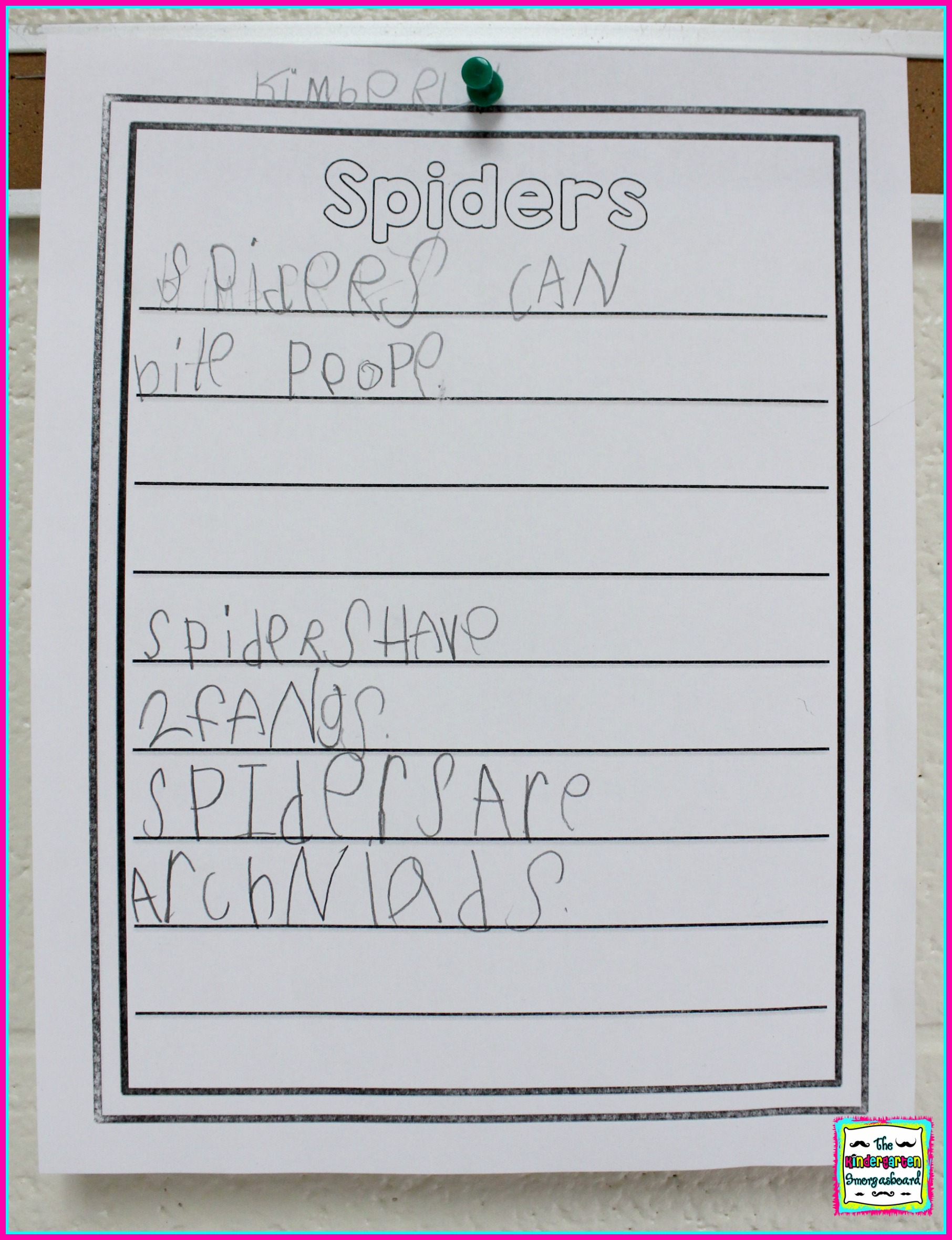 Spiders Research Project! – The Kindergarten Smorgasboard