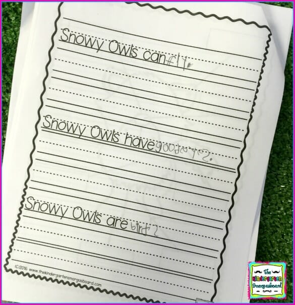 Arctic Animals: Schedulin’ Sunday – The Kindergarten Smorgasboard