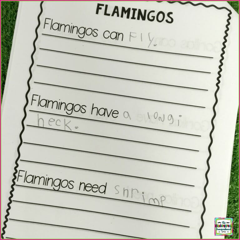 Zoo Animals and Place Value: Schedulin’ Sunday – The Kindergarten ...