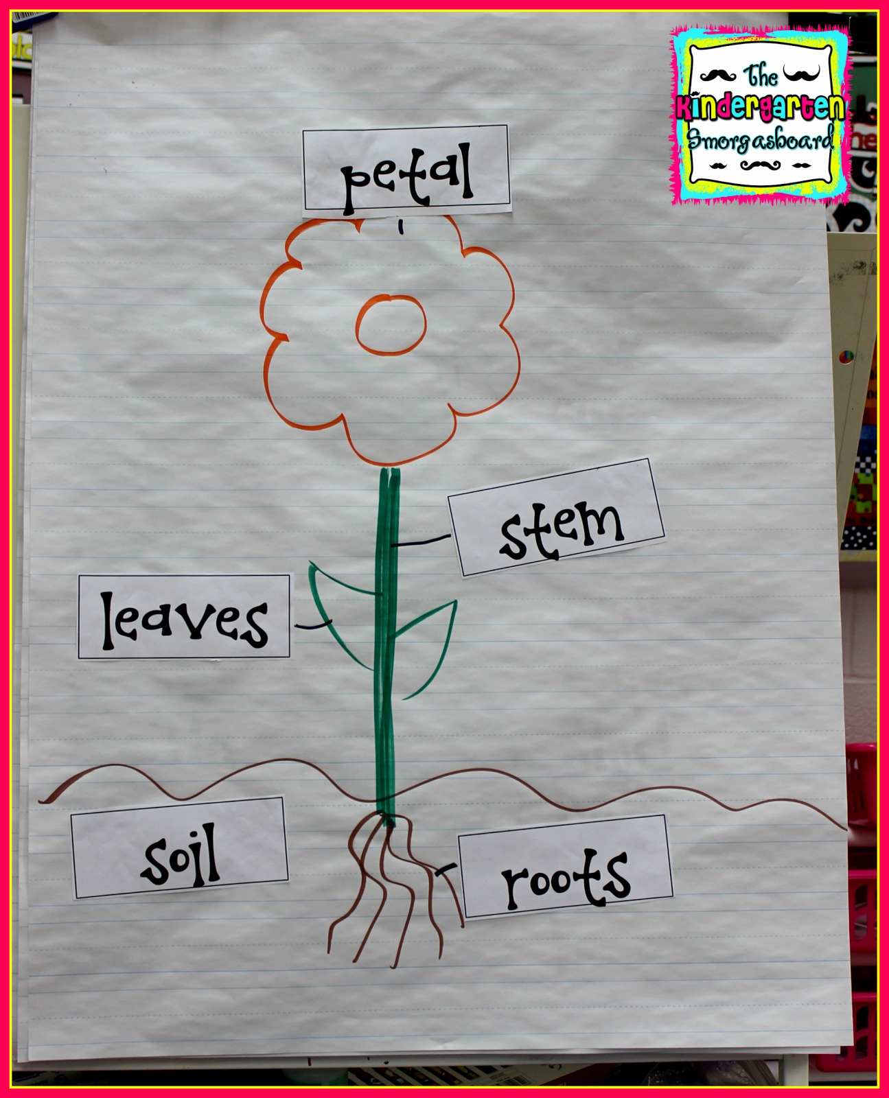 Plants: Schedulin’ Sunday – The Kindergarten Smorgasboard