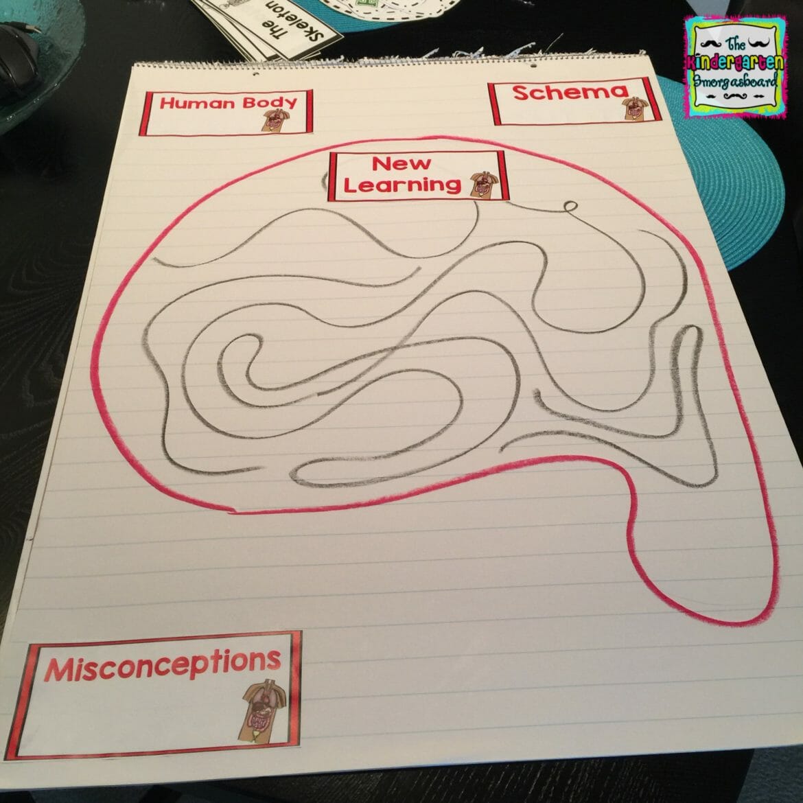 Human Body Research Project – The Kindergarten Smorgasboard