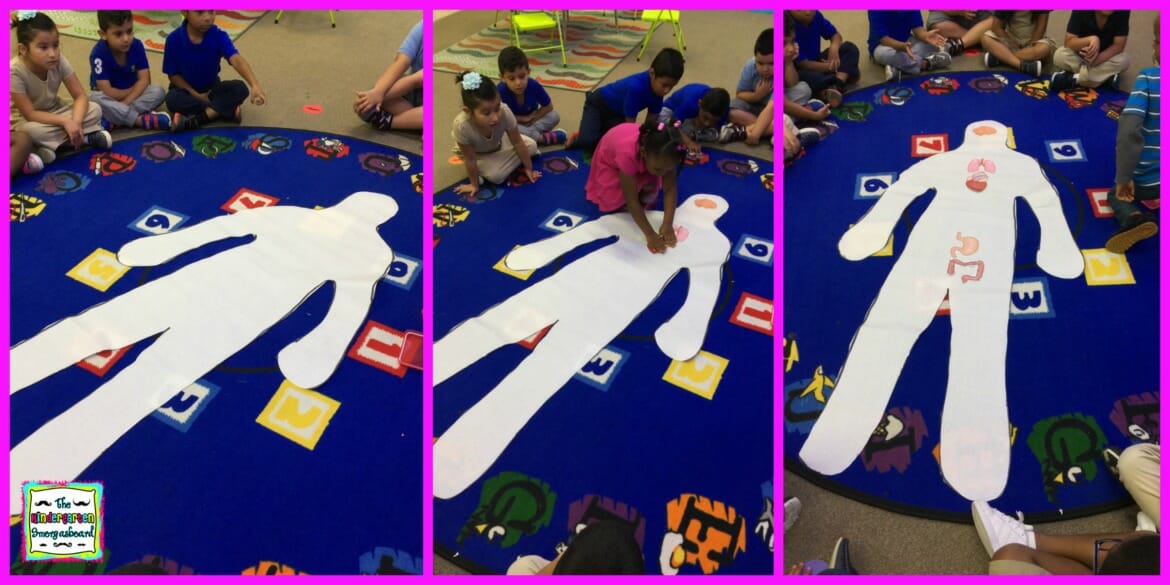 Human Body Research Project – The Kindergarten Smorgasboard