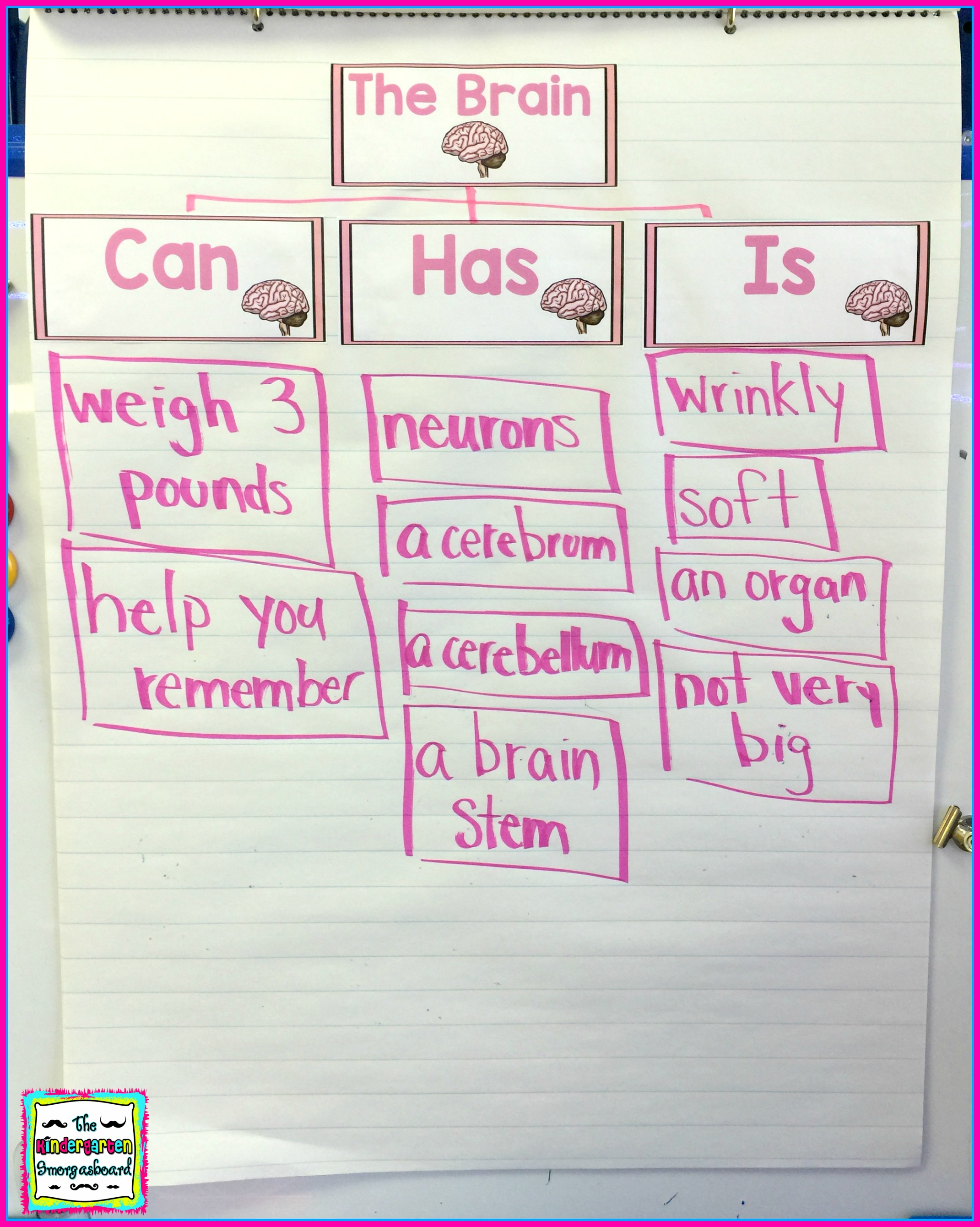 brain tree map – The Kindergarten Smorgasboard