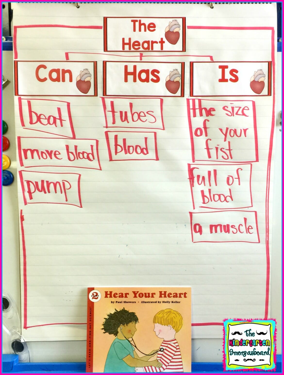 Human Body Research Project – The Kindergarten Smorgasboard