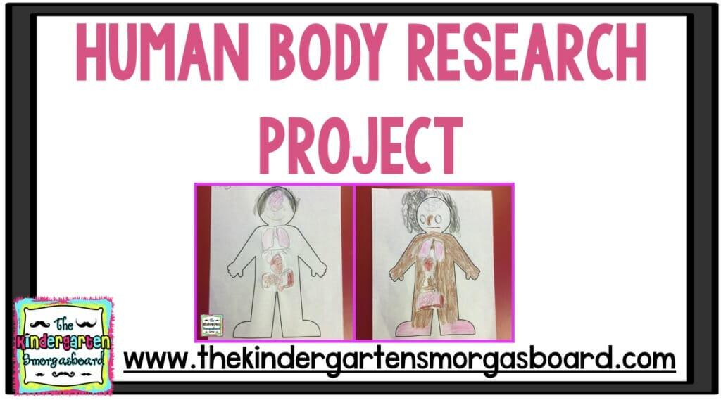 Human Body Research Project – The Kindergarten Smorgasboard