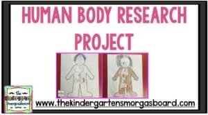 Human Body Research Project – The Kindergarten Smorgasboard