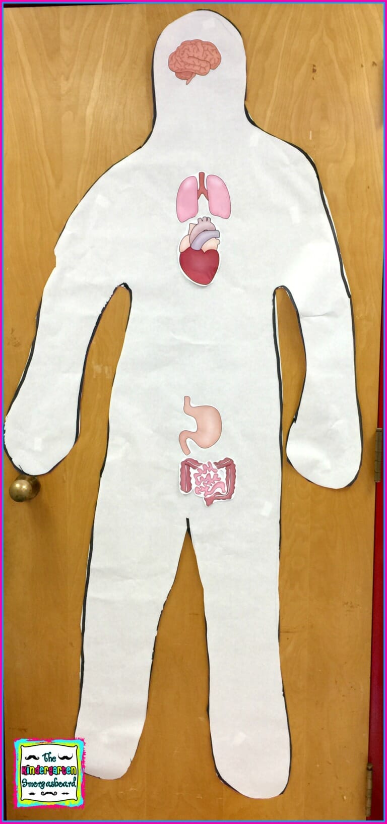 Human Body Research Project – The Kindergarten Smorgasboard