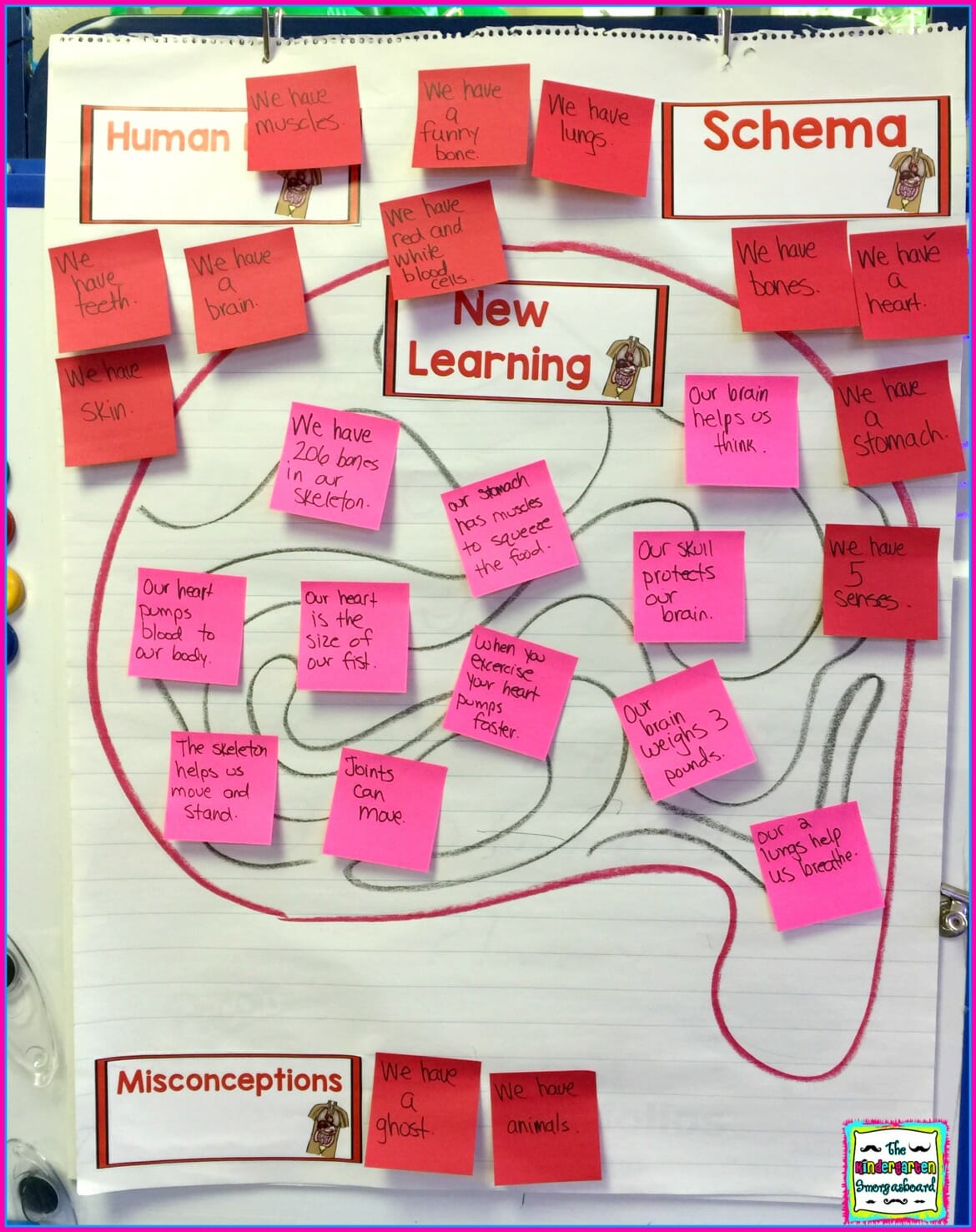 Human Body Research Project – The Kindergarten Smorgasboard