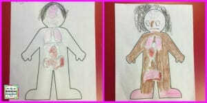 Human Body Research Project – The Kindergarten Smorgasboard