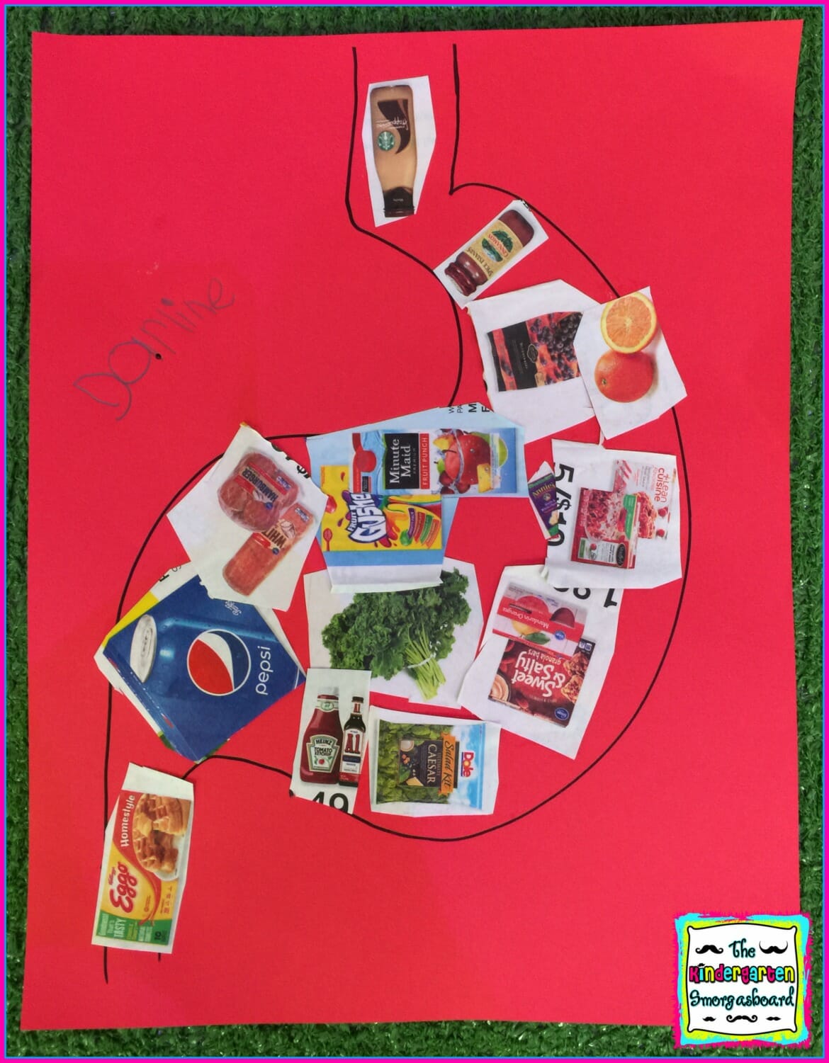 Human Body Research Project – The Kindergarten Smorgasboard