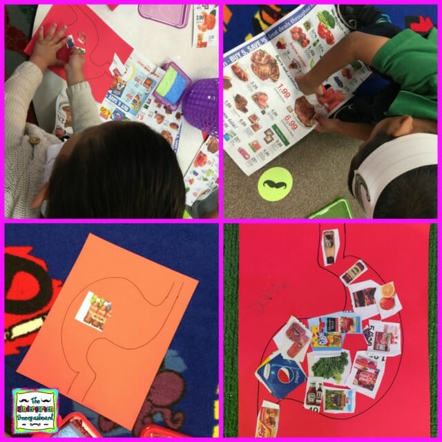 Human Body Research Project – The Kindergarten Smorgasboard