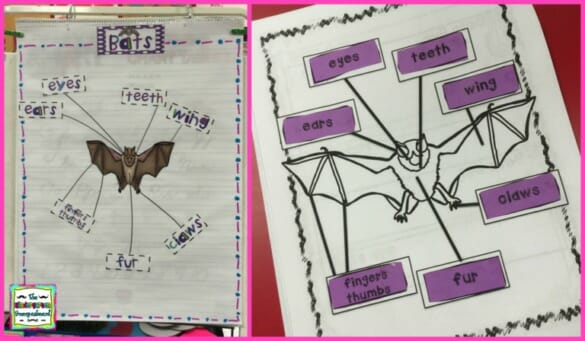 Bats and Number Bonds: Schedulin’ Sunday – The Kindergarten Smorgasboard