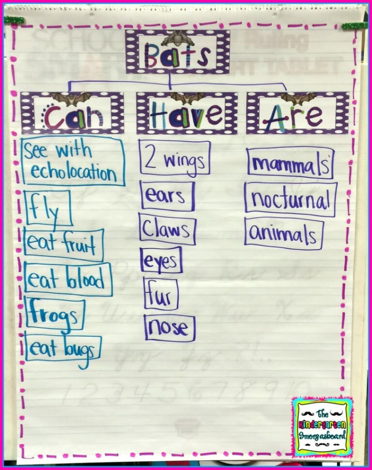 Bats and Number Bonds: Schedulin’ Sunday – The Kindergarten Smorgasboard