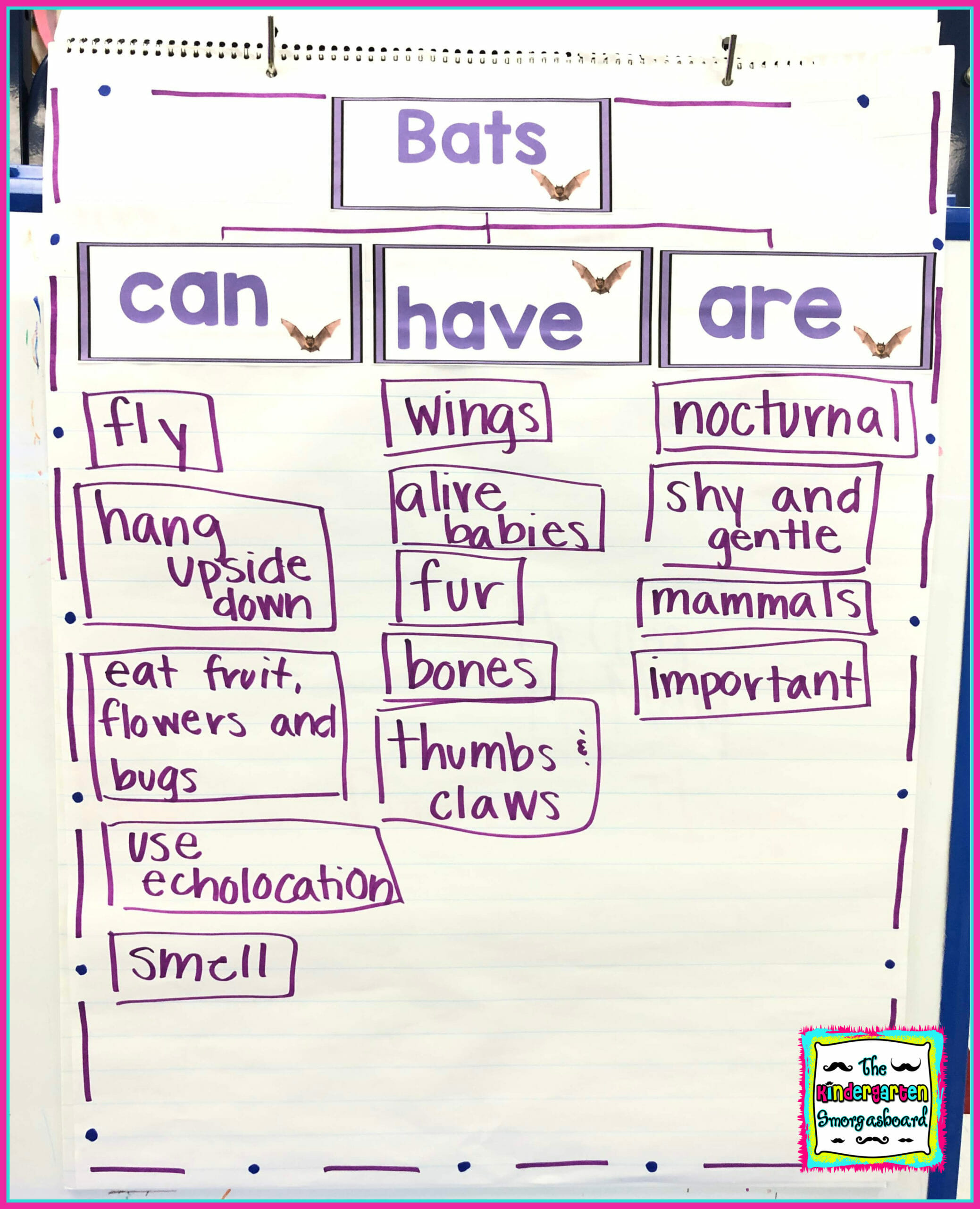kindergarten bats unit – The Kindergarten Smorgasboard
