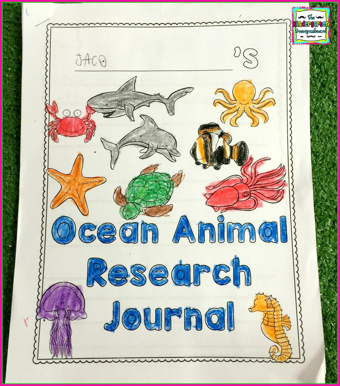 Ocean Animals: Schedulin’ Sunday – The Kindergarten Smorgasboard