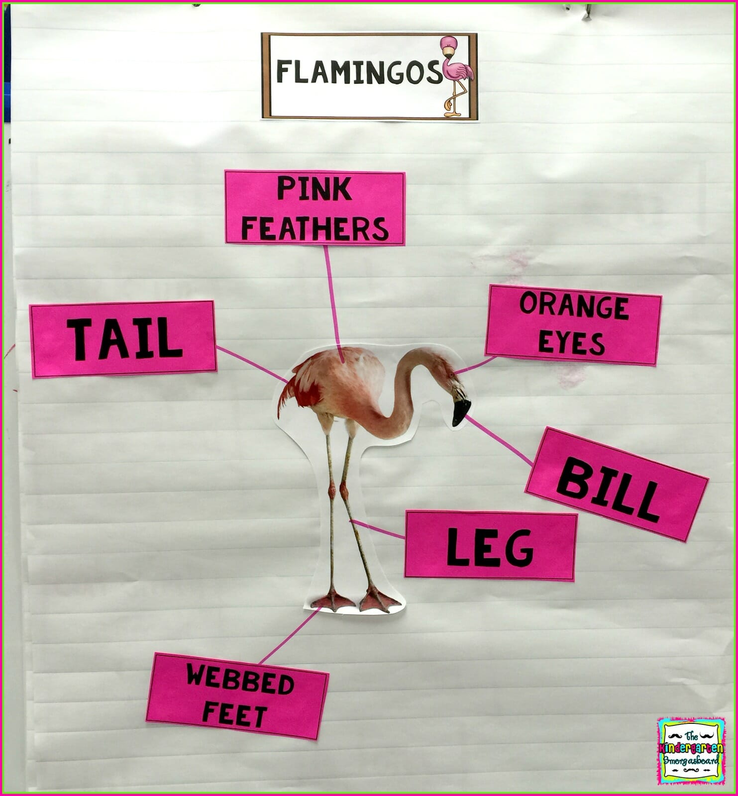 bc27c-flamingo2blabeling2bchart – The Kindergarten Smorgasboard