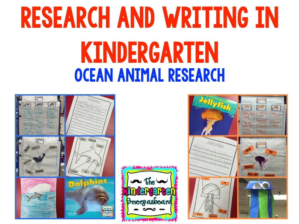 Ocean Animals: Schedulin’ Sunday – The Kindergarten Smorgasboard
