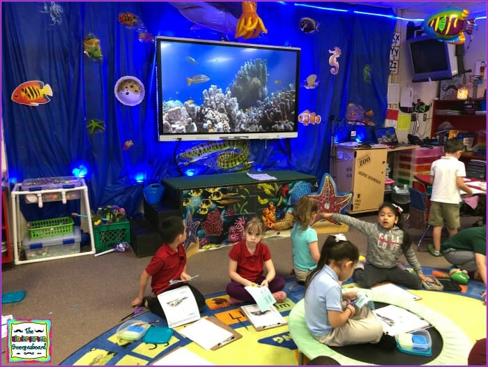 Ocean Transformation – The Kindergarten Smorgasboard