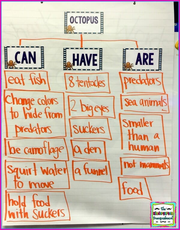 Ocean Animals: Schedulin’ Sunday – The Kindergarten Smorgasboard