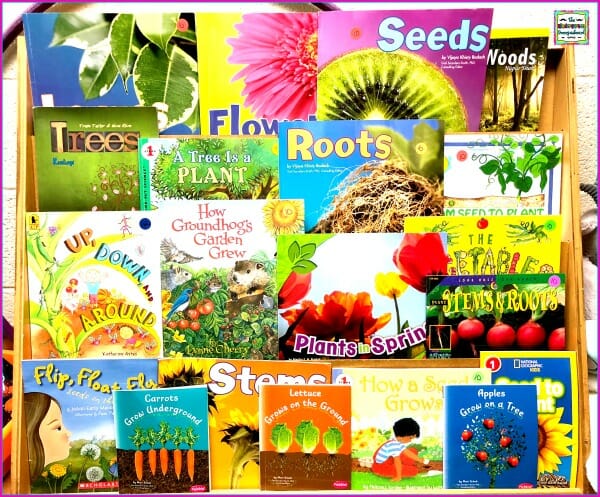 plant books – The Kindergarten Smorgasboard