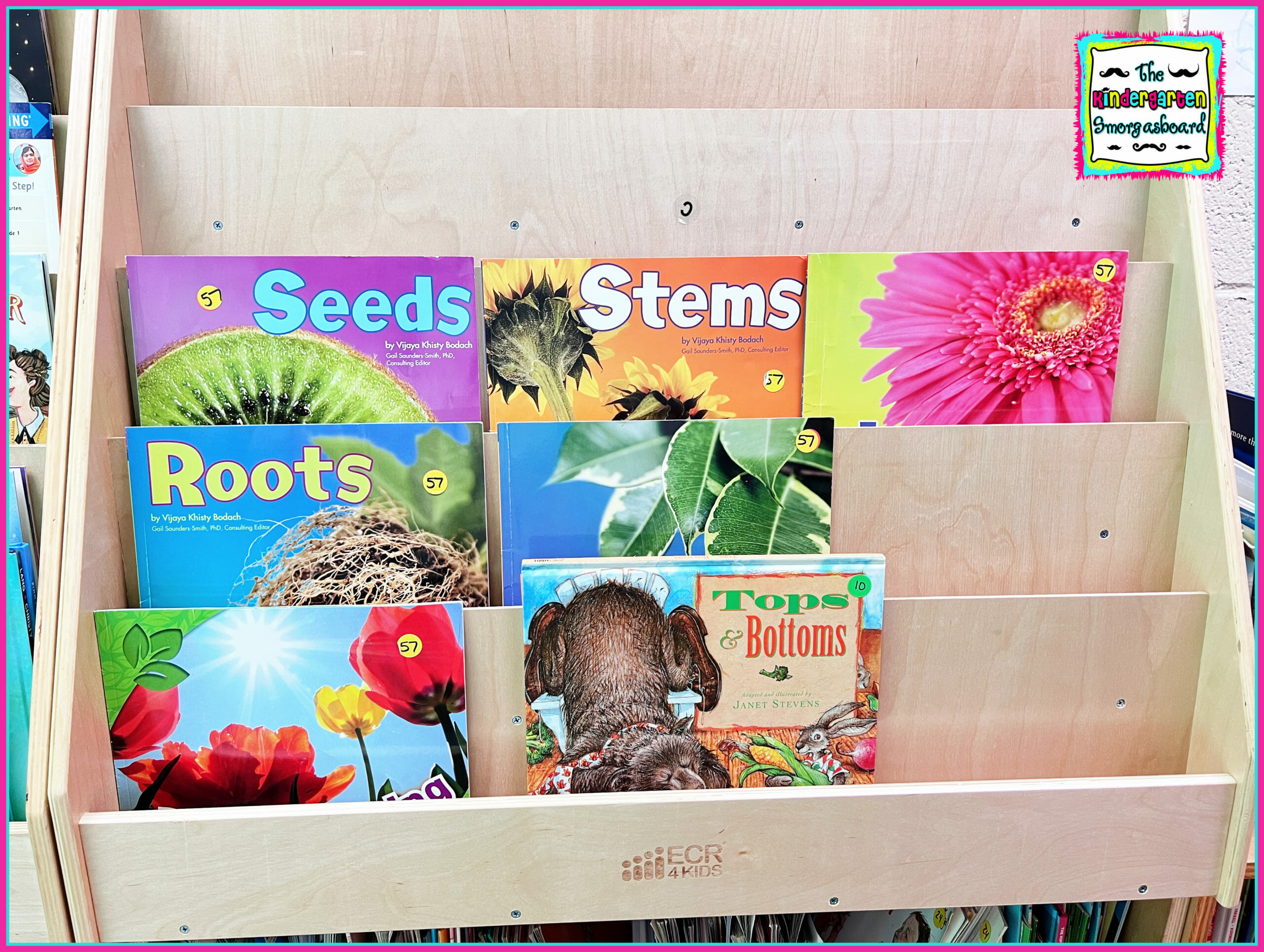 read alouds for plants – The Kindergarten Smorgasboard