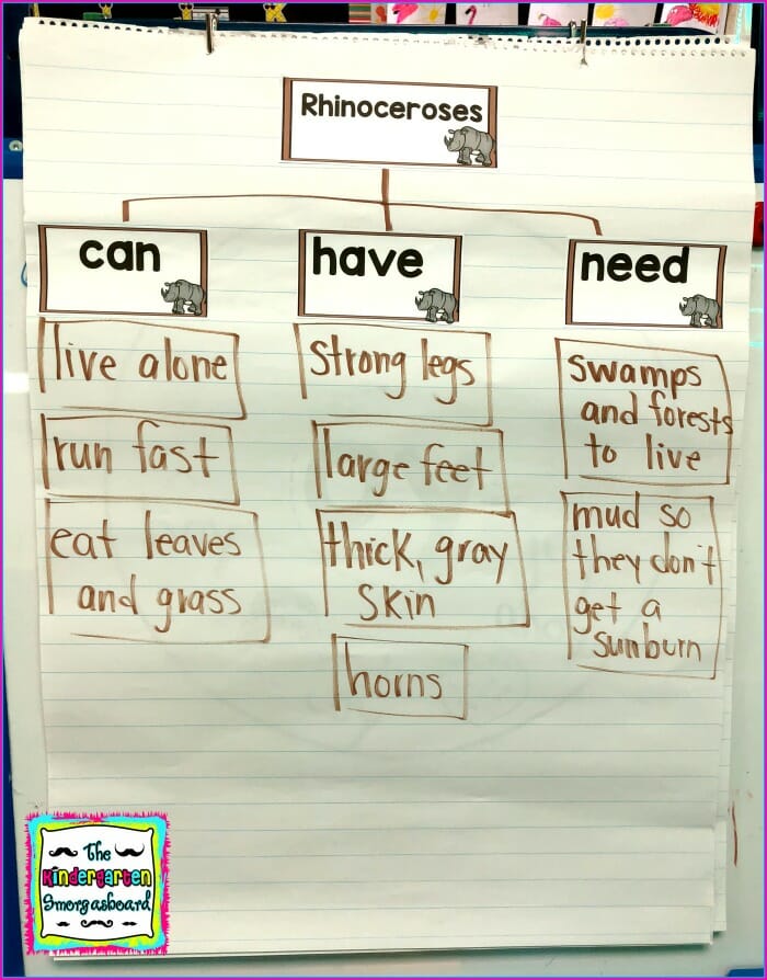 rhino tree map – The Kindergarten Smorgasboard