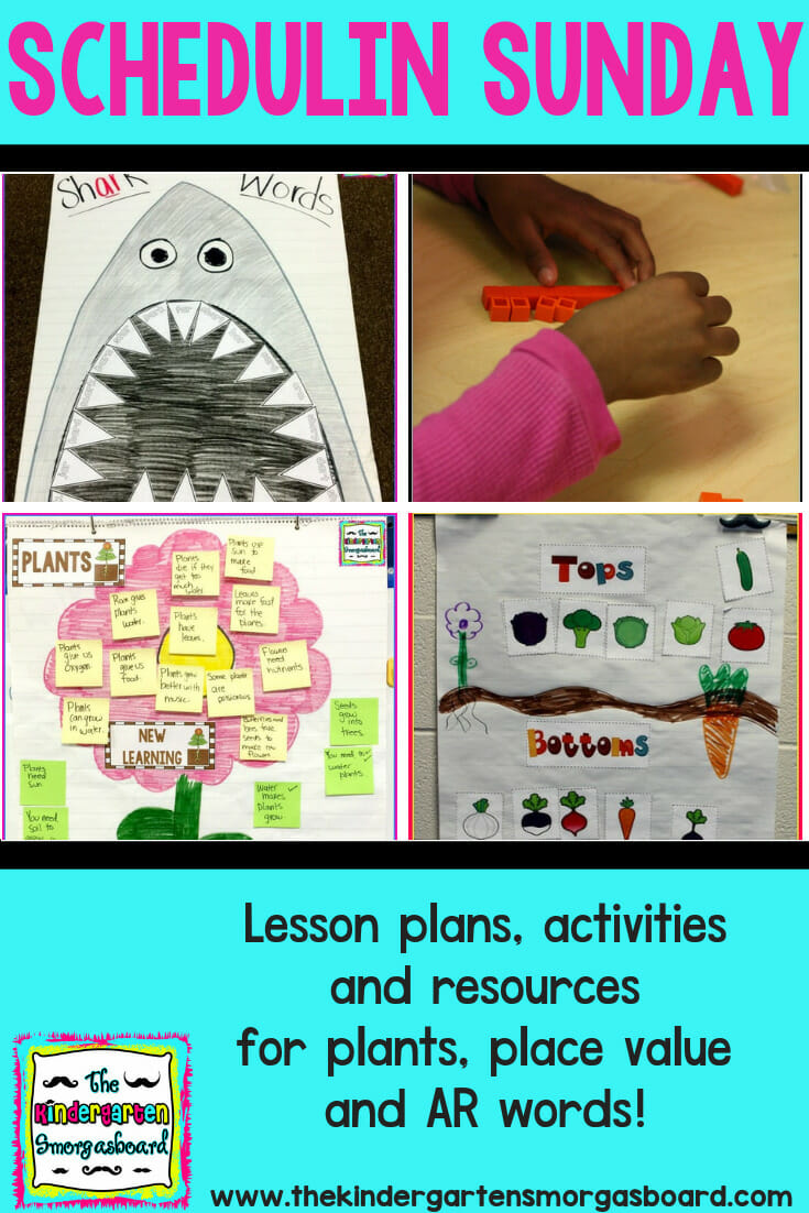 word family bootcamp-26 – The Kindergarten Smorgasboard