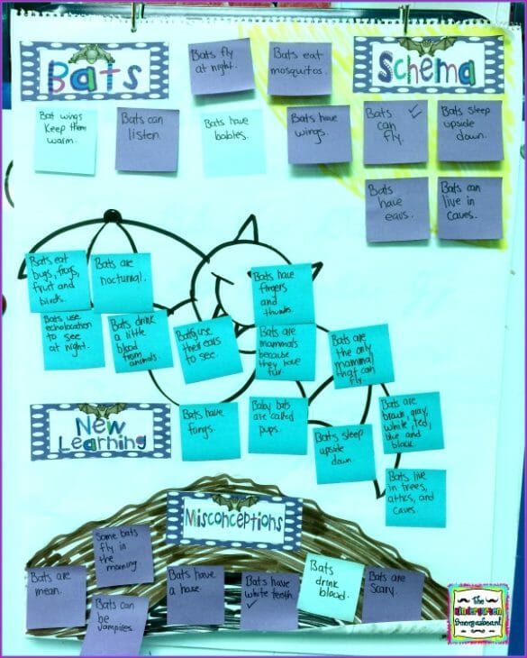 schema map – The Kindergarten Smorgasboard