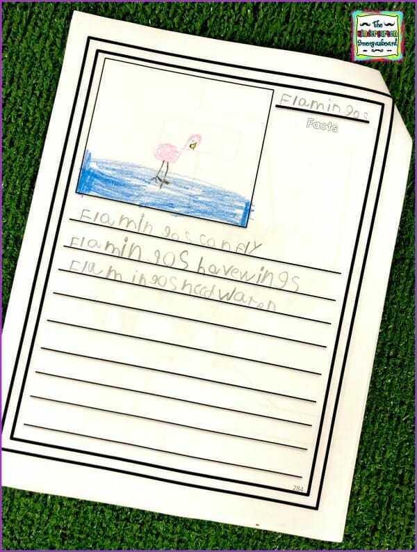 Zoo Animals Activities: Schedulin’ Sunday – The Kindergarten Smorgasboard