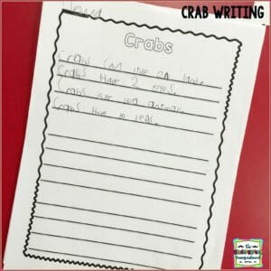 Ocean Animals: Schedulin Sunday – The Kindergarten Smorgasboard