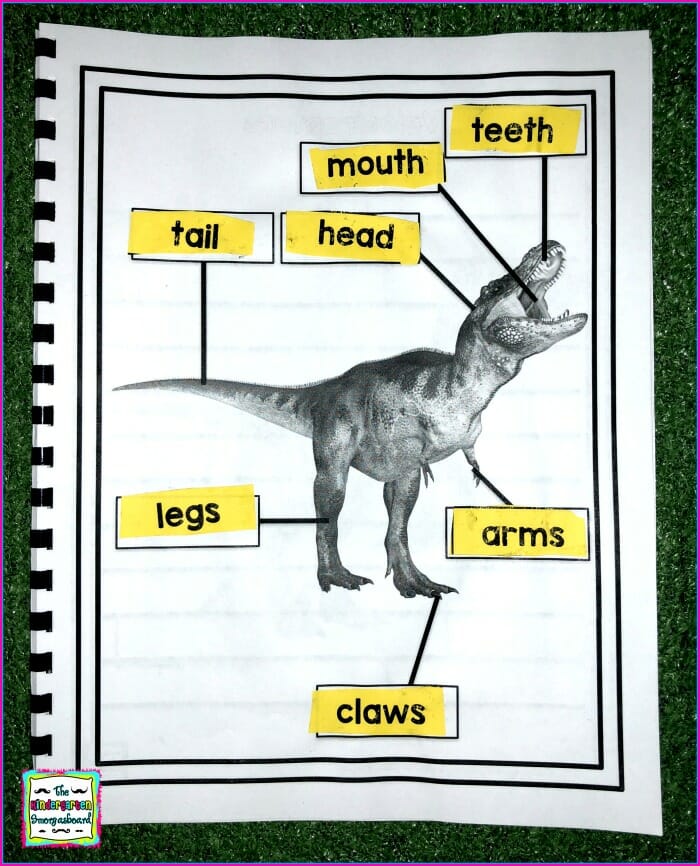 labeling a dinosaur – The Kindergarten Smorgasboard