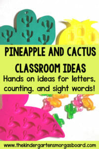 Cactus And Pineapple Classroom Ideas | The Kindergarten Smorgasboard