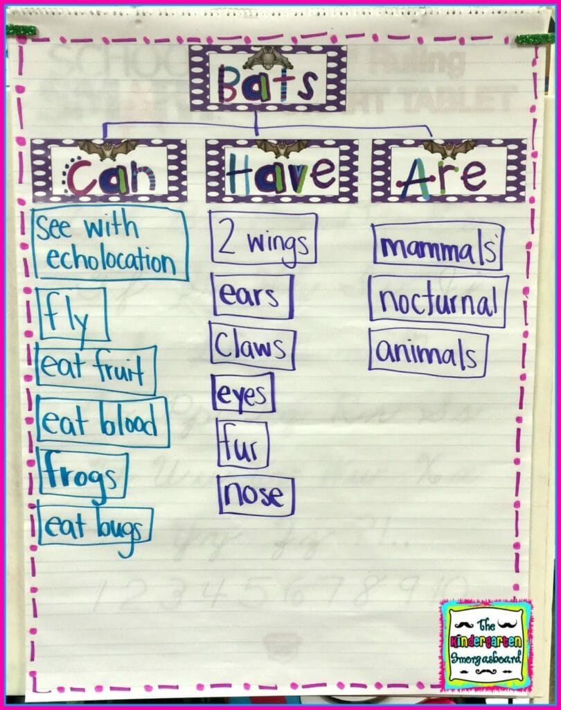 Bats: Schedulin Sunday – The Kindergarten Smorgasboard