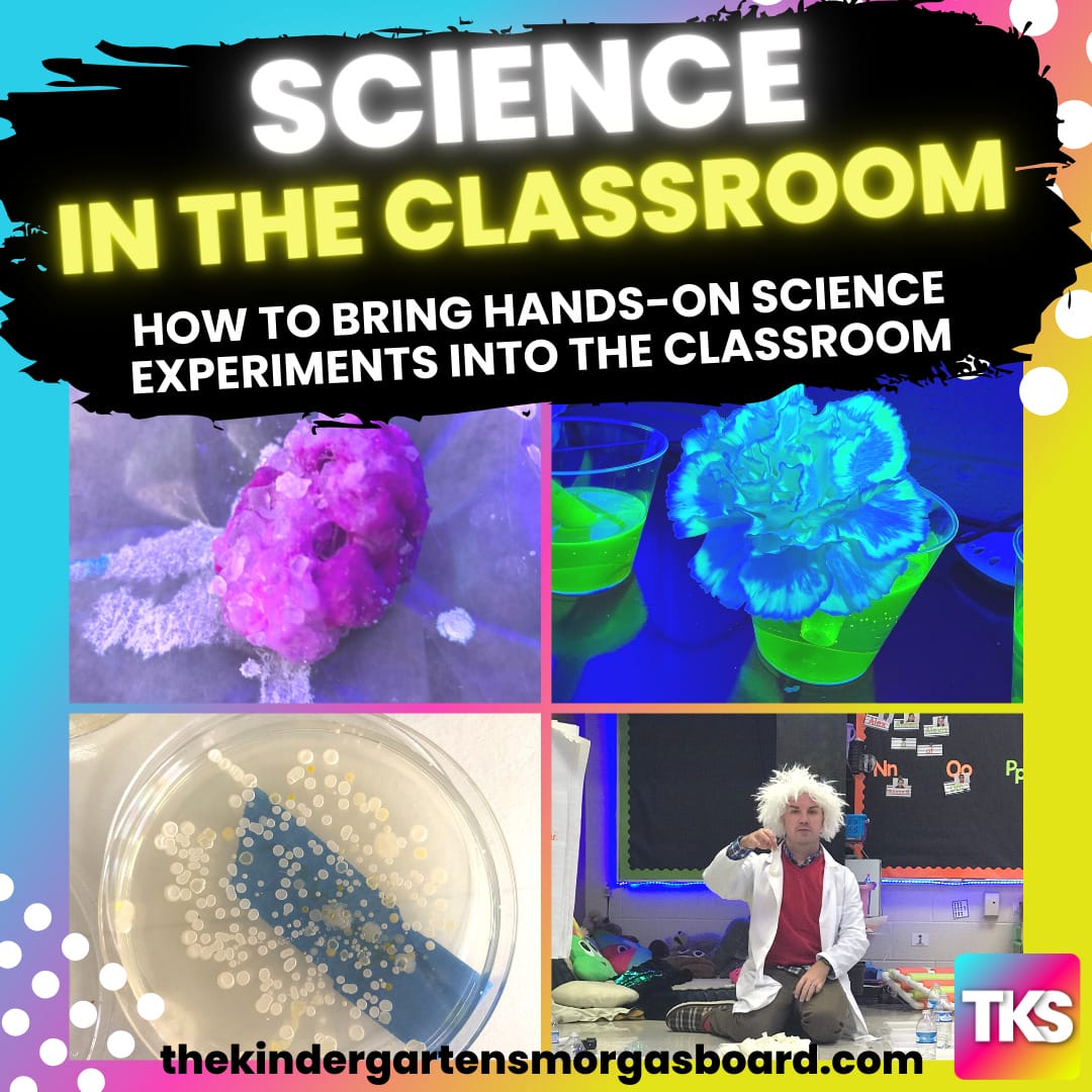 Student Scientist In The Classroom | The Kindergarten Smorgasboard