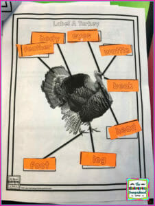 Schedulin Sunday: Turkeys And Addition | The Kindergarten Smorgasboard