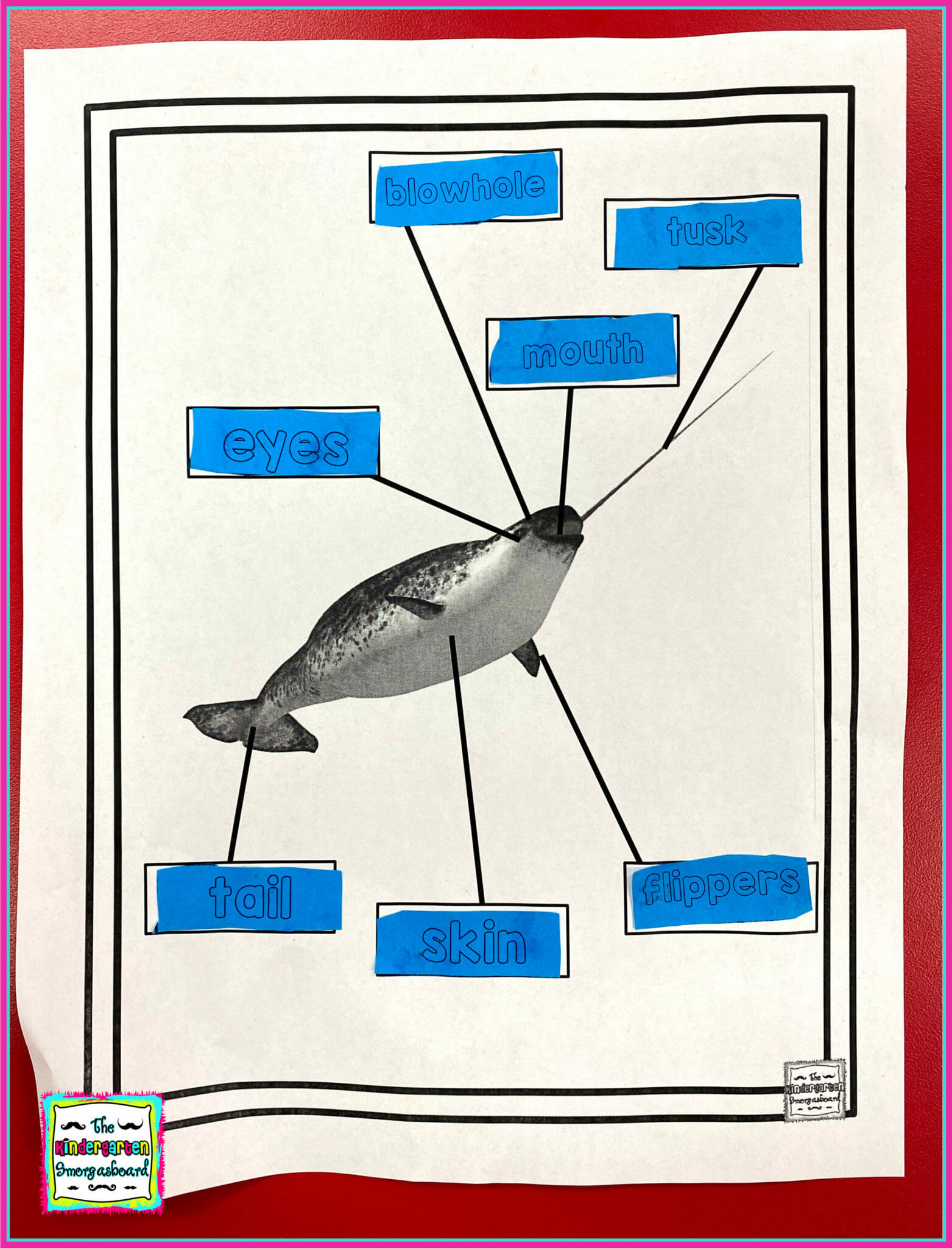 Schedulin Sunday: Tally Marks, Vowels, And Arctic Animals – The ...
